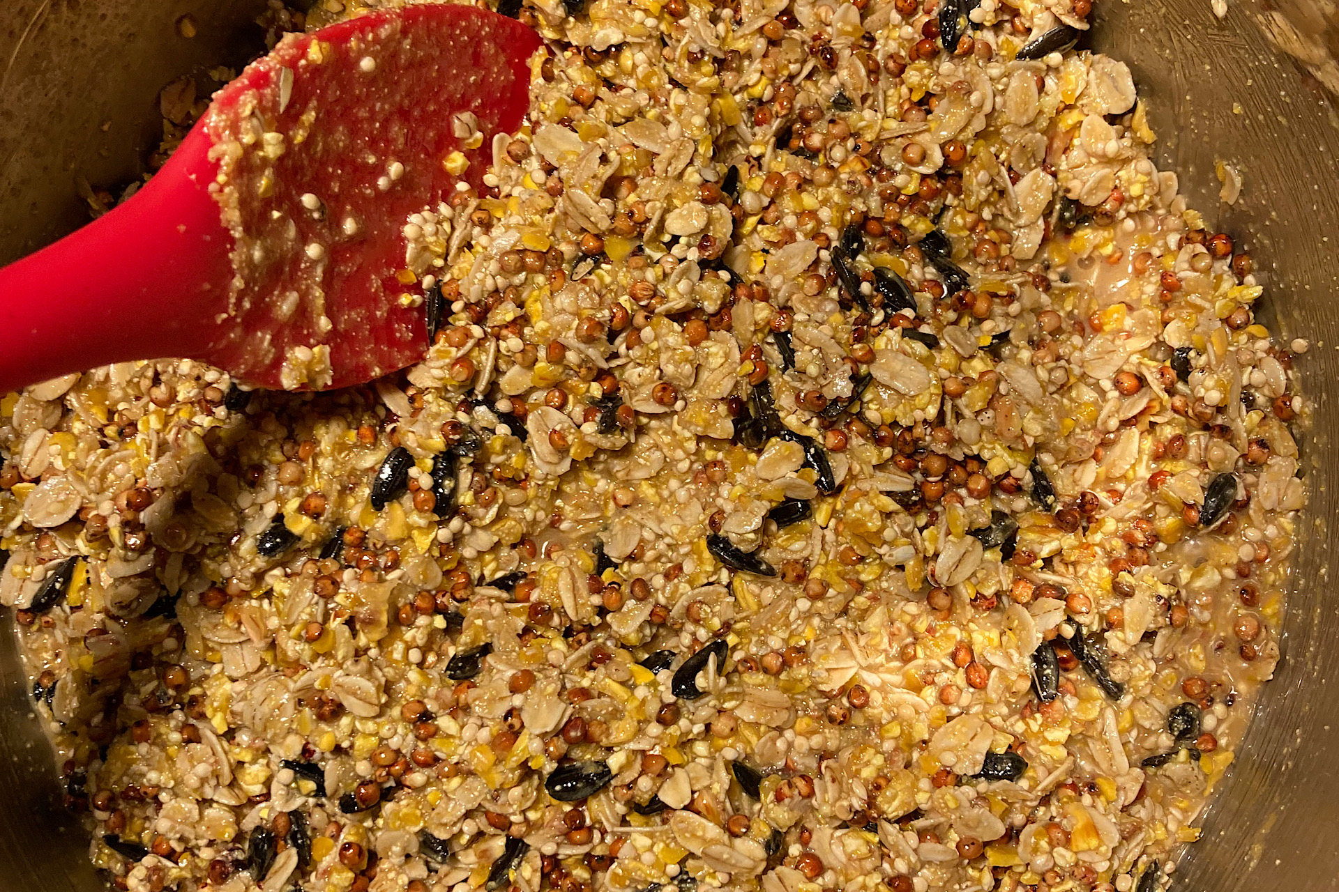 Bird Suet - No Lard - latebloomerinbakerville