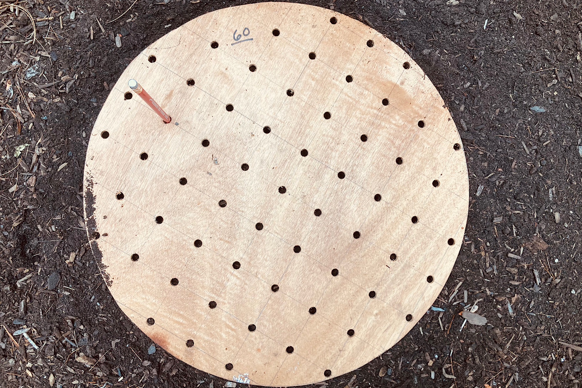 Seed Starting Template For Small Spaces - latebloomerinbakerville