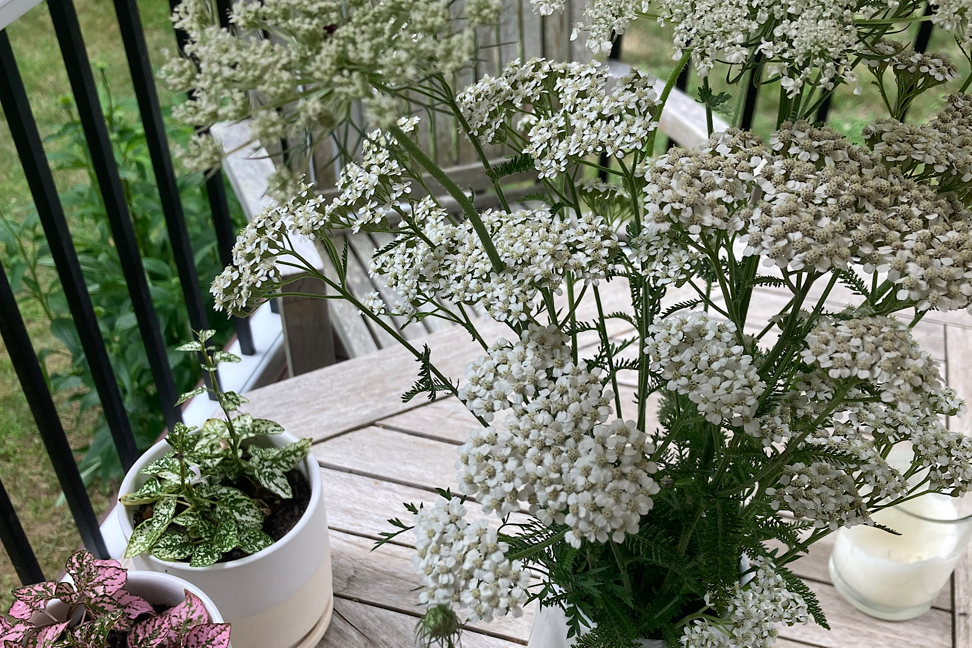 Benefits of Growing Common Yarrow - latebloomerinbakerville