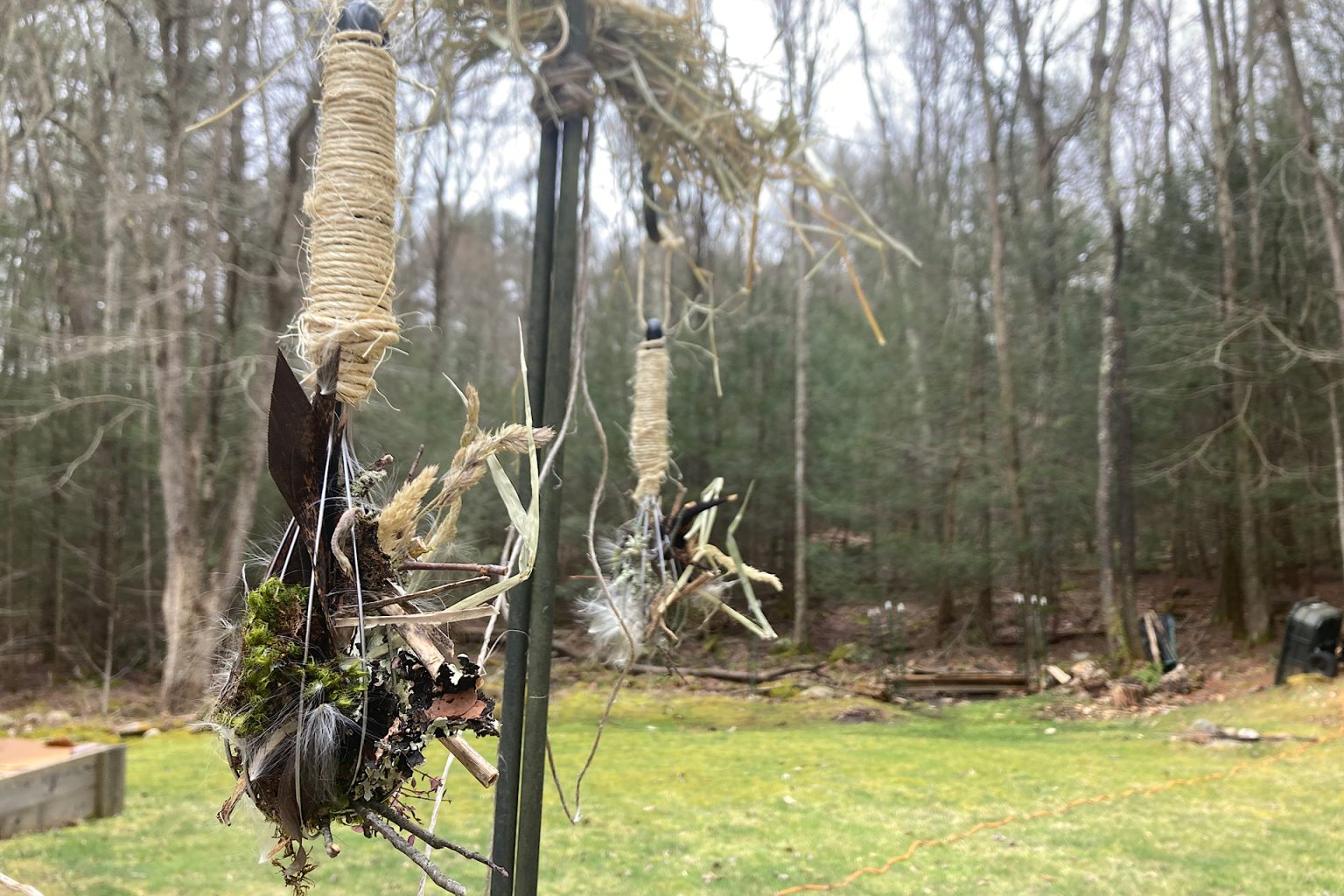 Whisk Whimsy: Nesting Materials for Backyard Birds ...